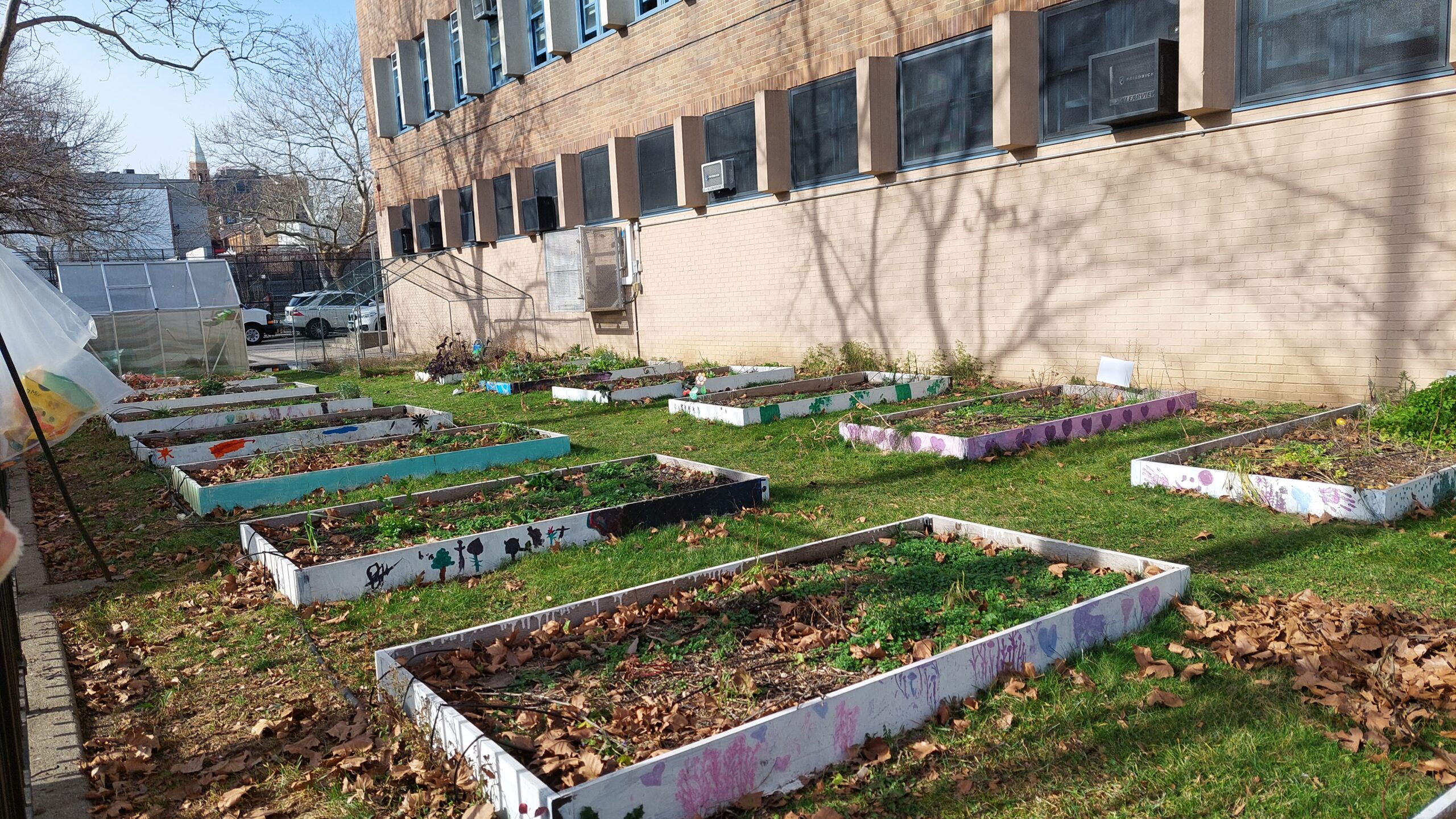PS 87 Bronx 2nd Grade Garden Install, Curriculum Development ...